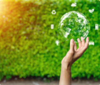 The Energy Hierarchy: Reducing Carbon Emissions
